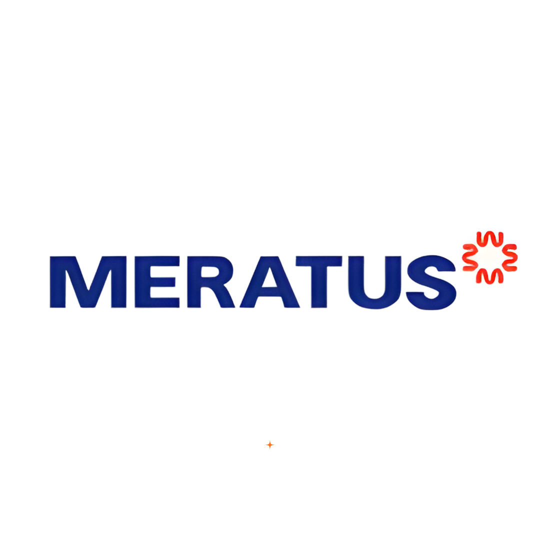 PT Meratus Line & Group