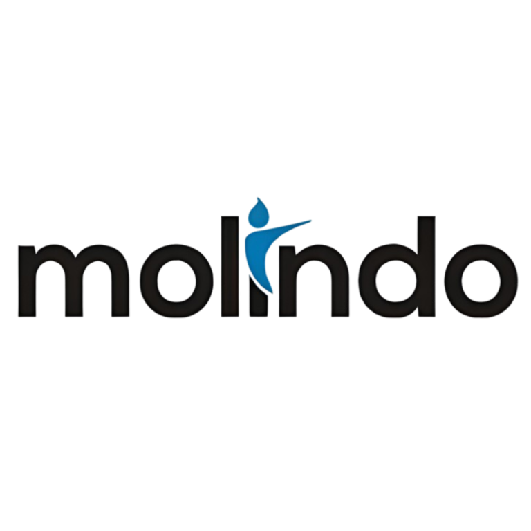 PT Molindo Raya Industrial (MRI)